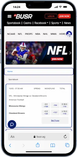 Best Sports Betting Sites 2025 - Top Online Sportsbooks USA