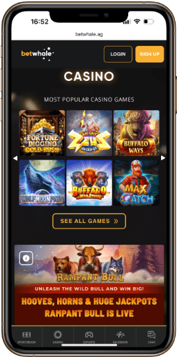The Best Minnesota online casinos for 2026