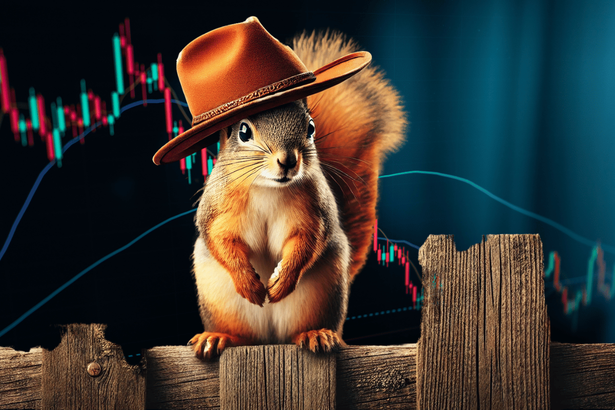 Mark Longo battles Binance over Peanut the Squirrel’s intellectual ...