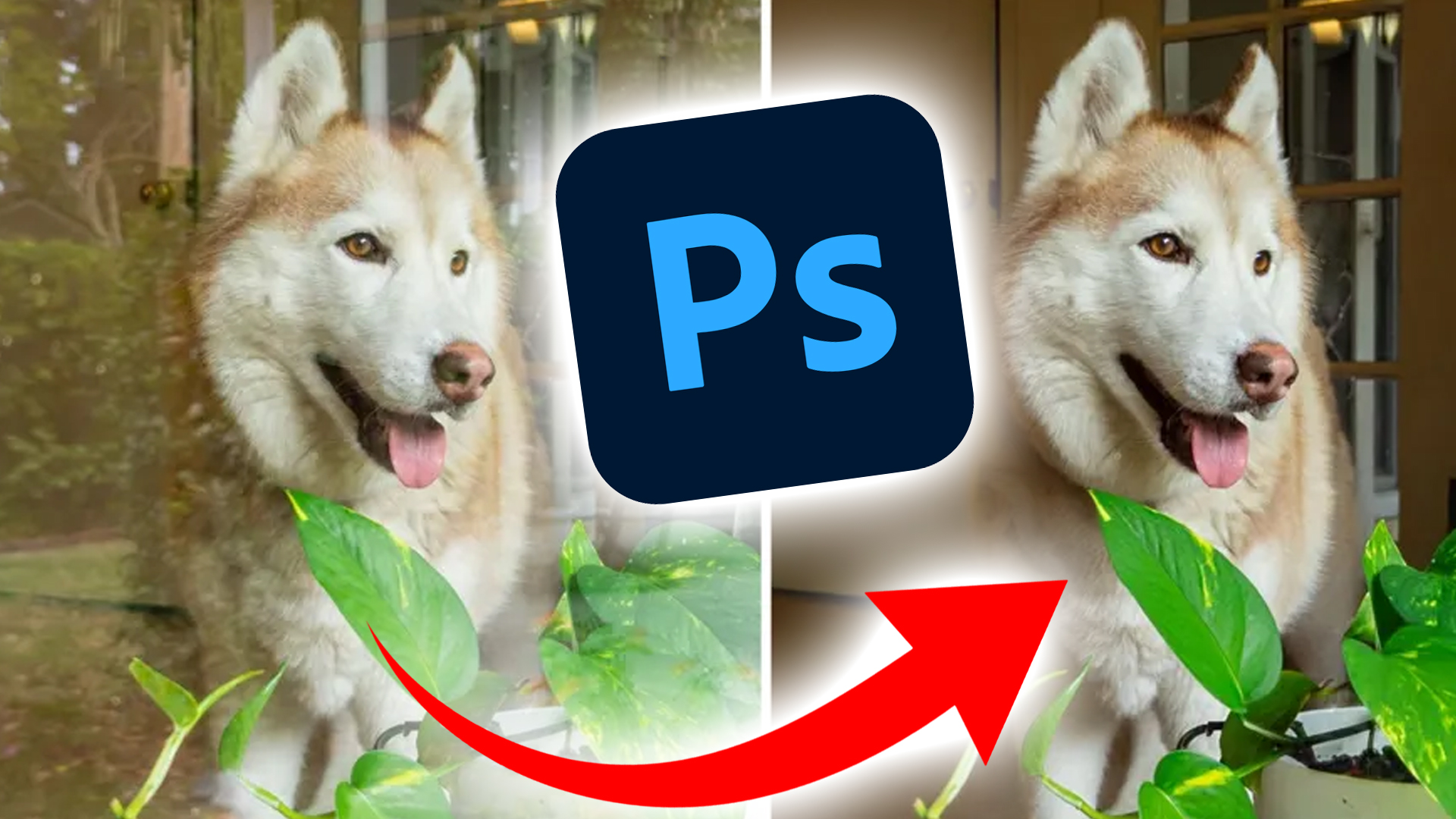 Photoshop gets AI powered reflection removal – here’s how to use it » Ruberli