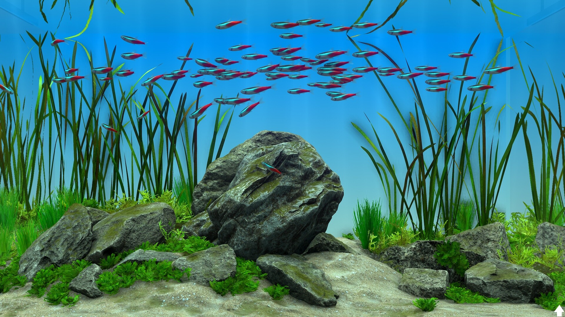 Chill out and build your own virtual fish tanks with the full release ...