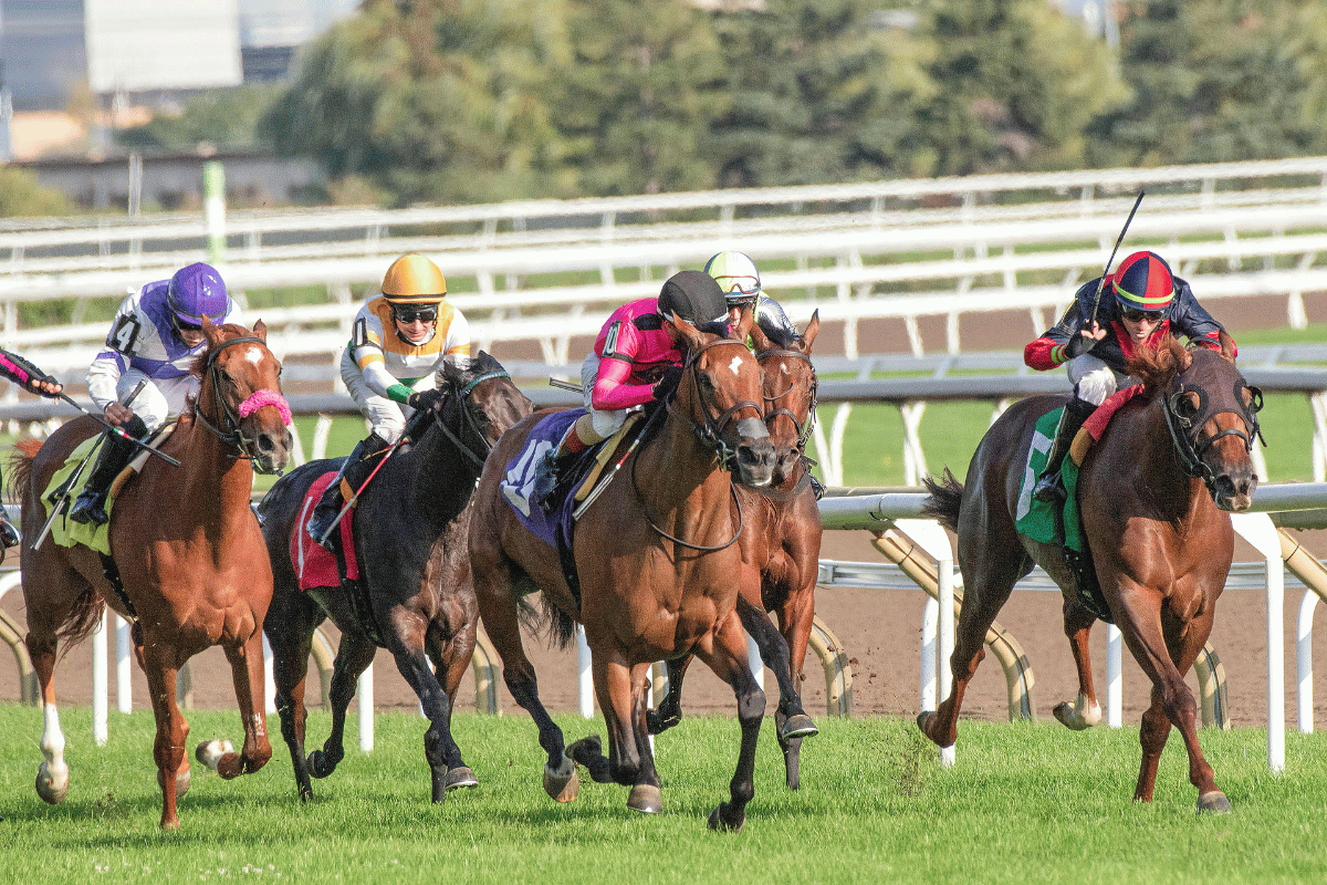 Grand National 2025 horse numbers: Who is going to be your pick? » Ruberli