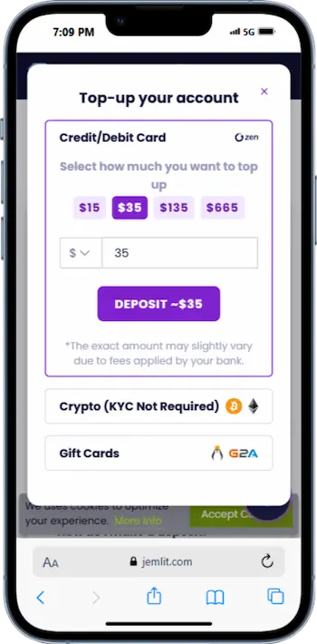 JemLit Review - The Truth About This Mystery Box Site