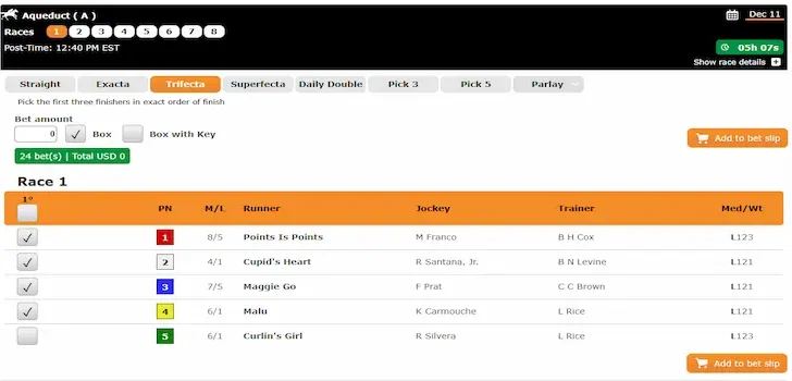 Horse Racing Betting Strategies - How to Bet On Horse Racing in 2026
