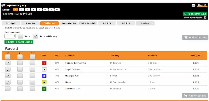 Horse Racing Betting Strategies - How to Bet On Horse Racing in 2026