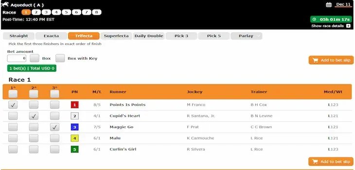 Horse Racing Betting Strategies - How to Bet On Horse Racing in 2026